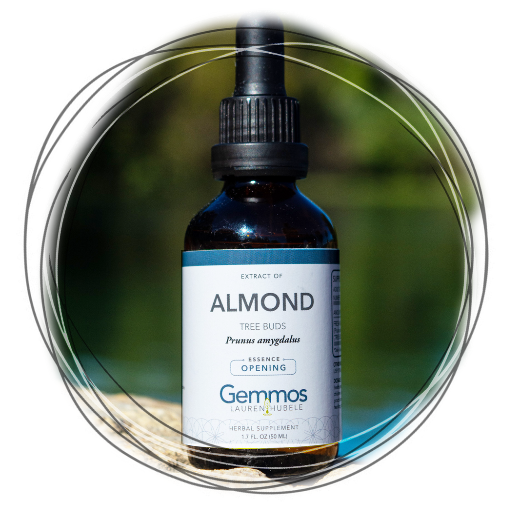 Gemmos – Gemmos Lauren Hubele