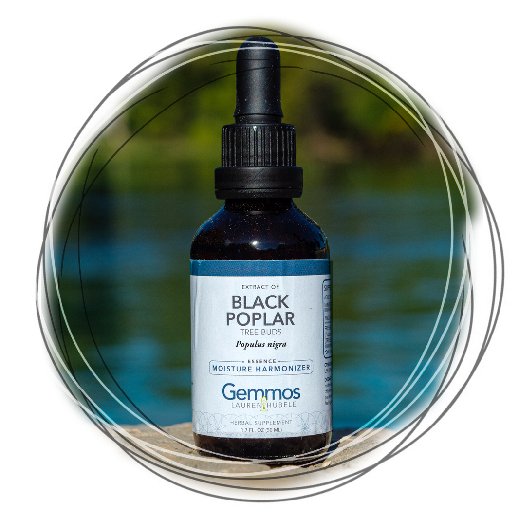 Gemmos – Gemmos Lauren Hubele