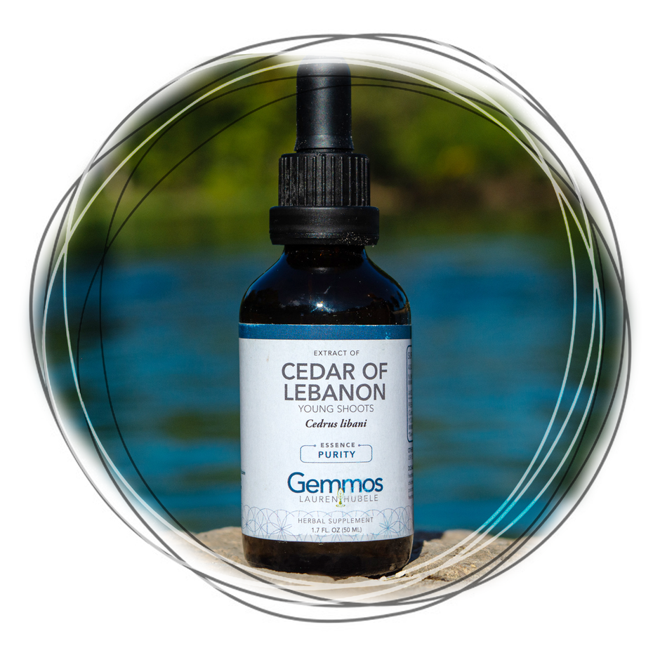 Gemmos – Gemmos Lauren Hubele