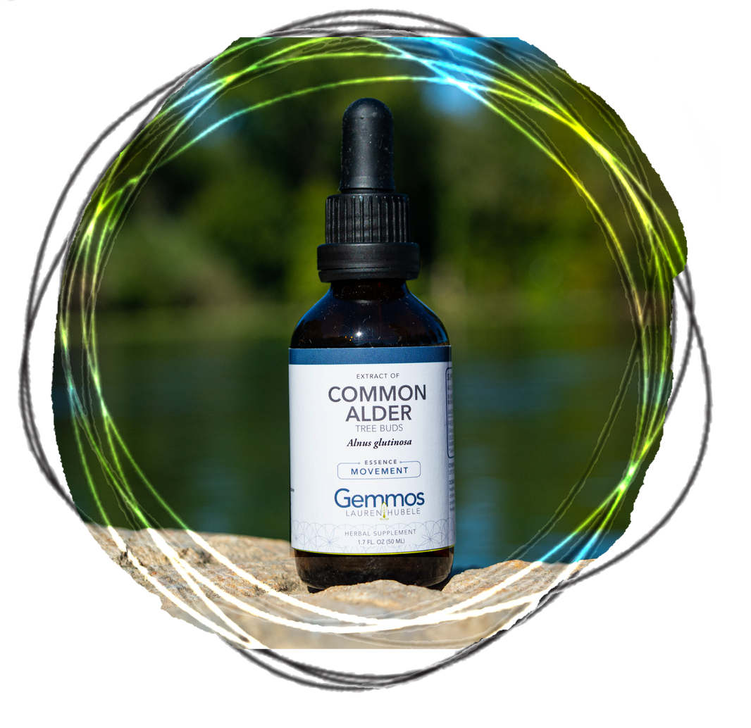 Gemmos – Gemmos Lauren Hubele