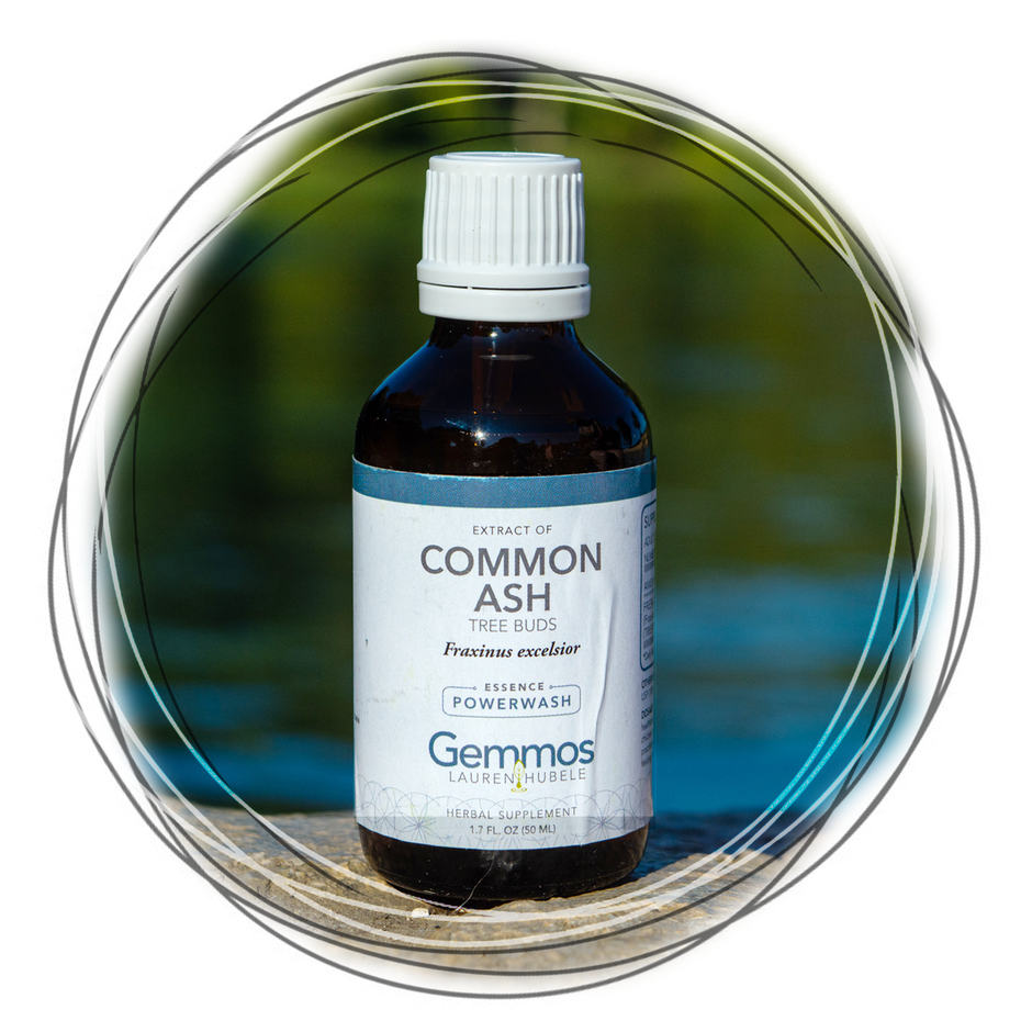 Gemmos – Gemmos Lauren Hubele