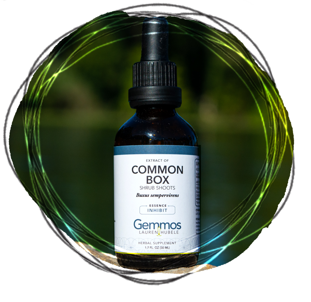 Gemmos – Gemmos Lauren Hubele