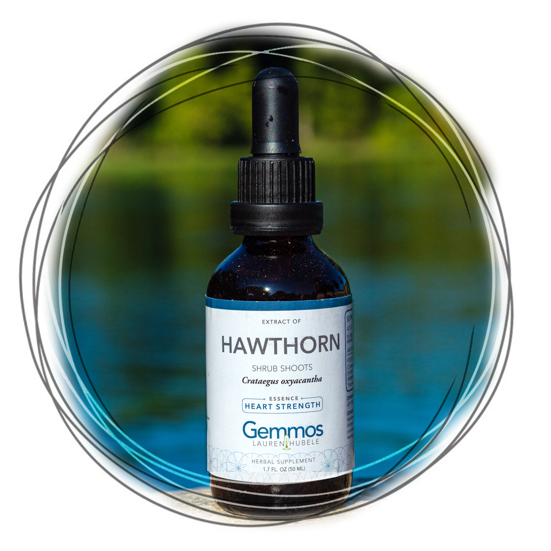 Hawthorn, Crataegus oxyacantha – Gemmos Lauren Hubele